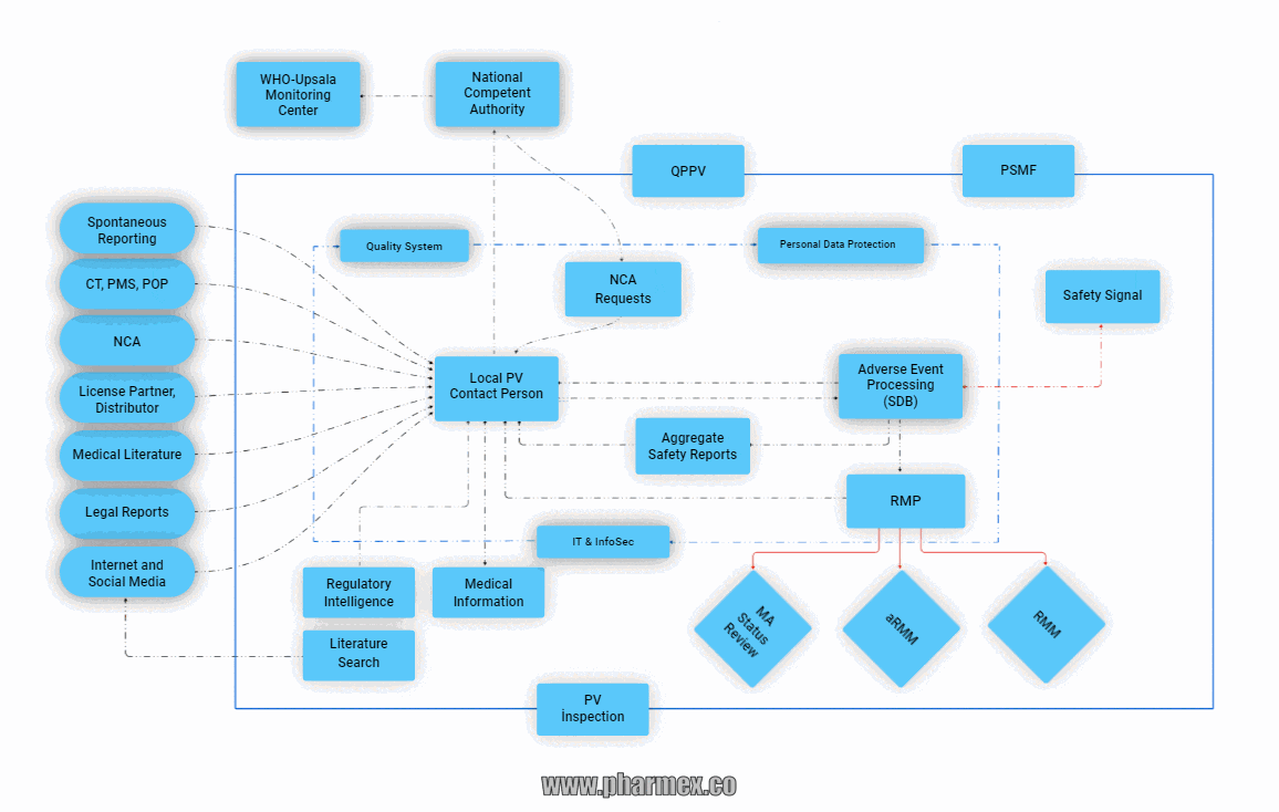 Pharmacovigilance System Solutions in CIS Countries